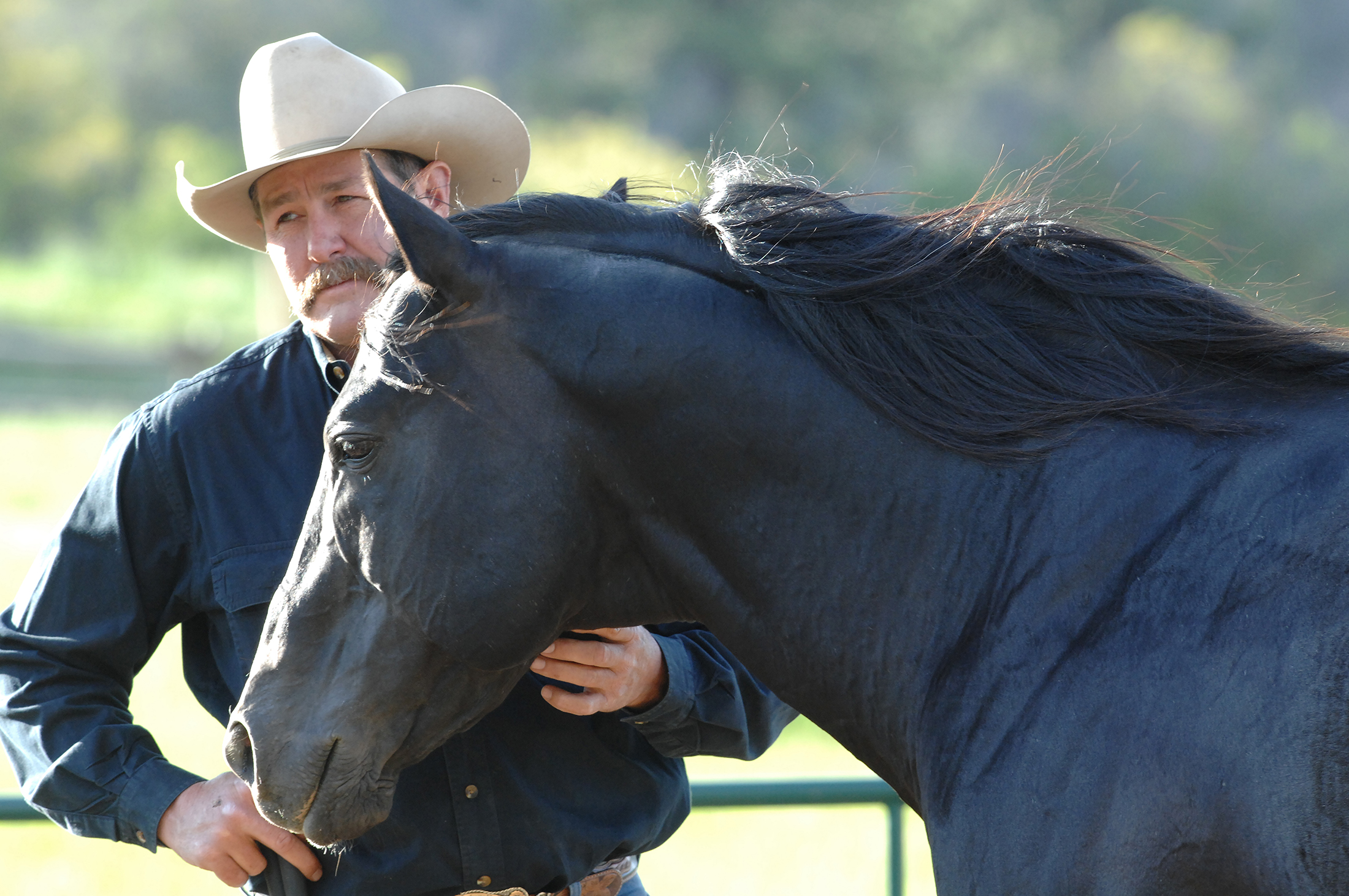 Wat is Parelli? • Parelli Team Belgium